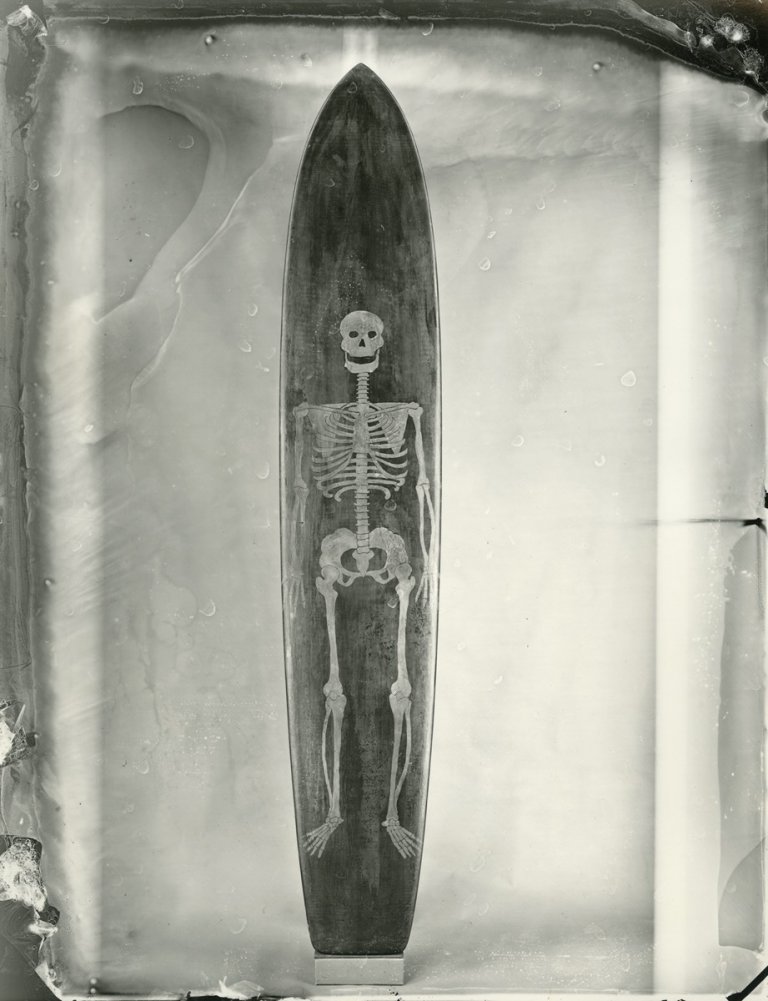 Surfboard, by Joni Sternbach | Club of the Waves